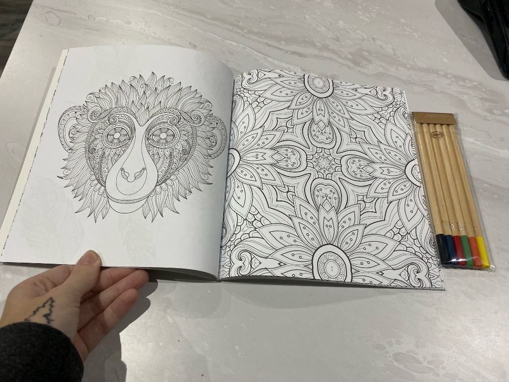 Cahier à Colorier - Dasmo